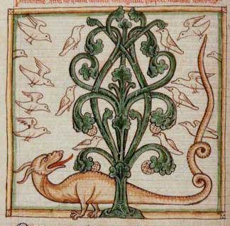 Medieval Bestiary : Beasts : Peridexion Tree