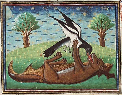 Medieval Bestiary : Beasts : Fox